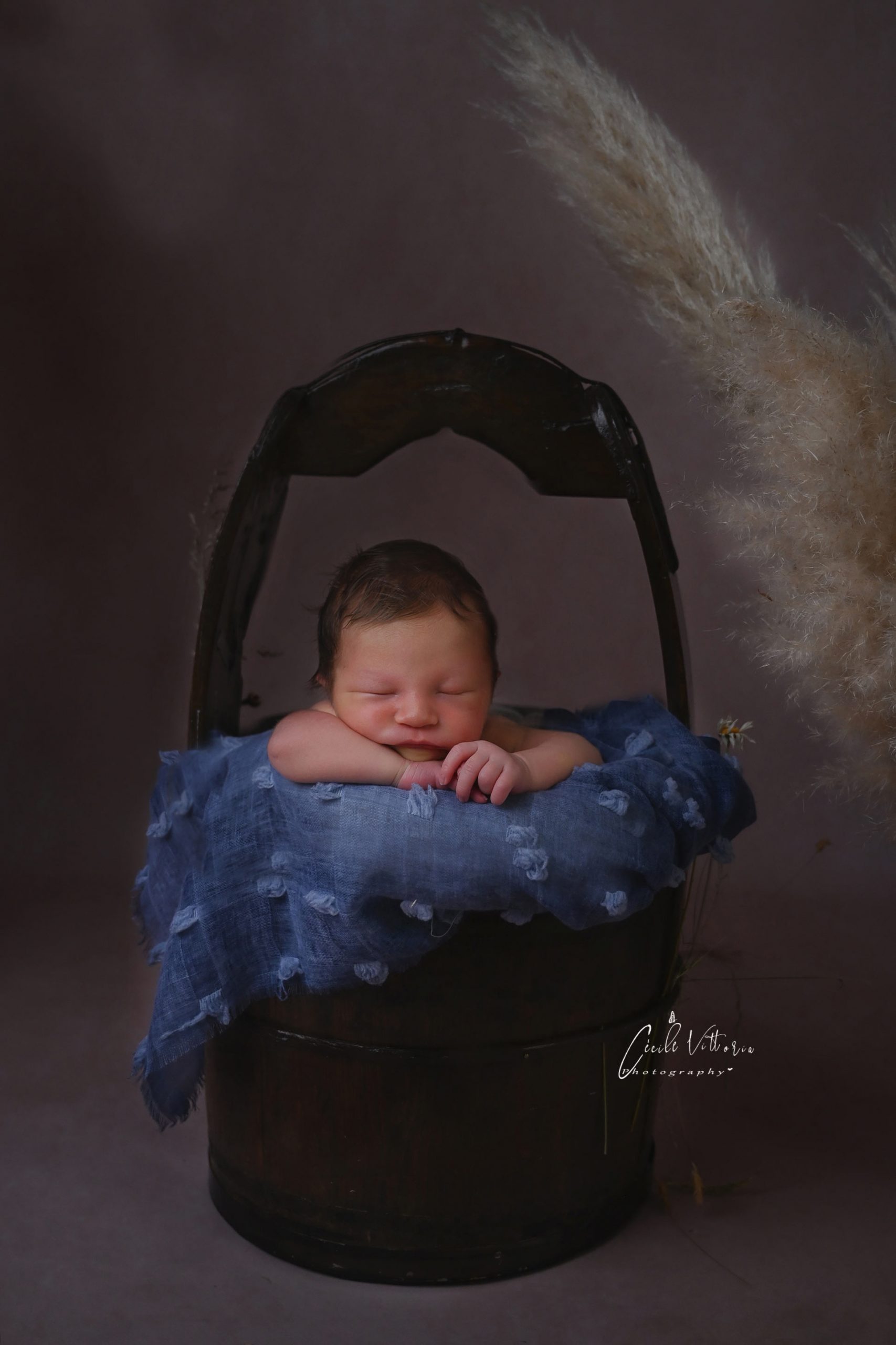 Maternity, Newborn, Baby & Family Photographer